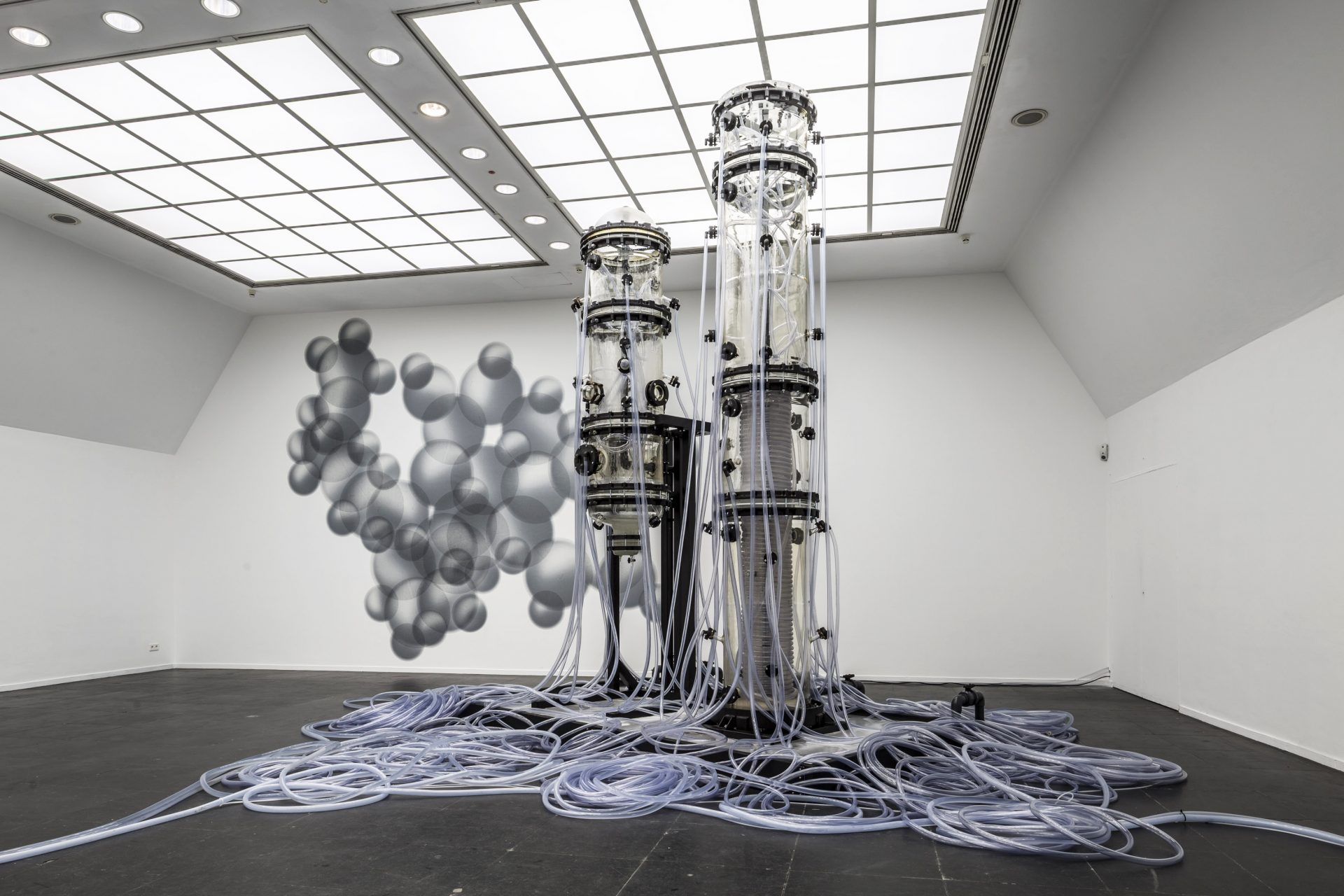 Thomas Feuerstein | Frankfurter Kunstverein