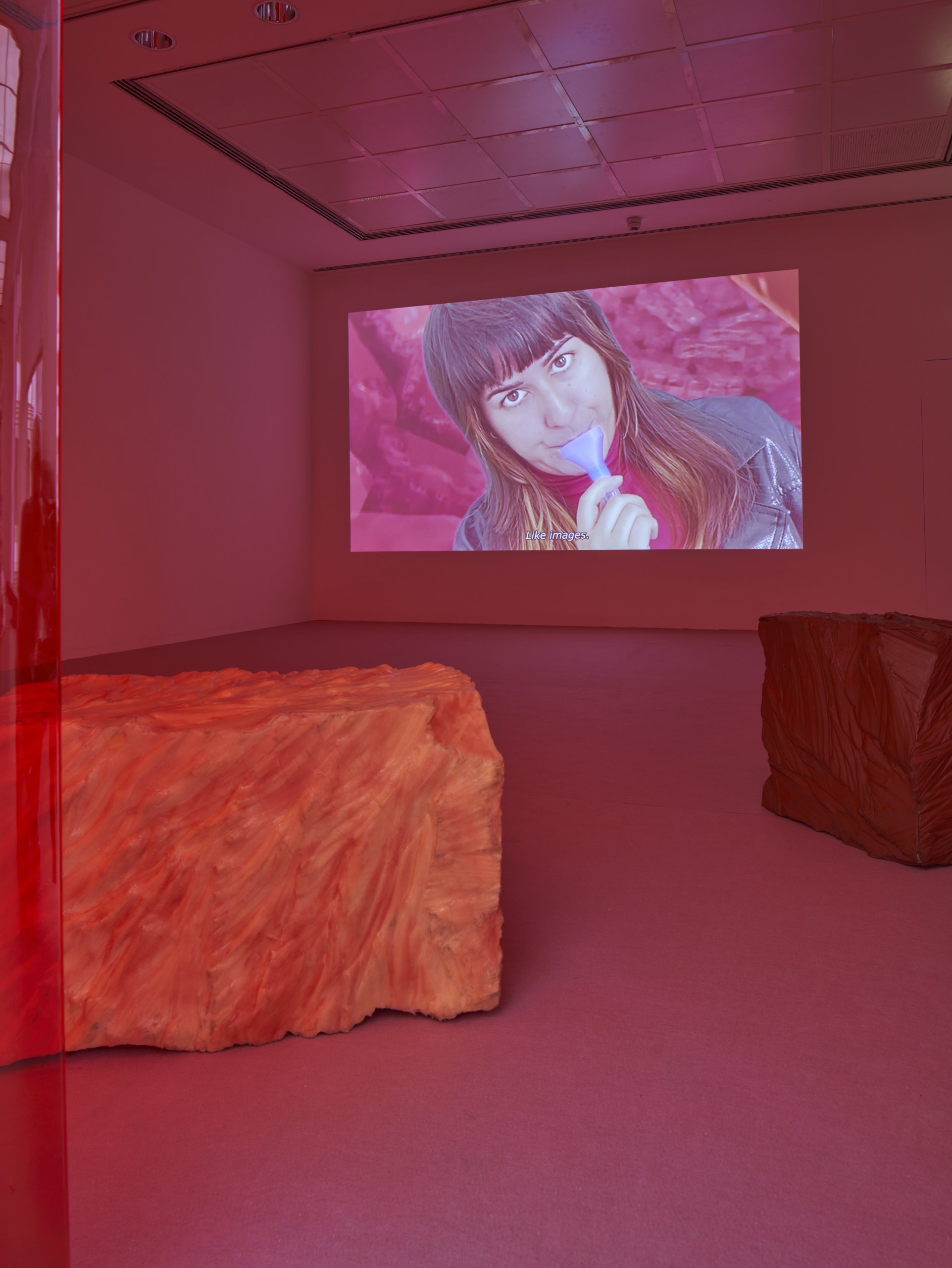 María Alcaide | Frankfurter Kunstverein