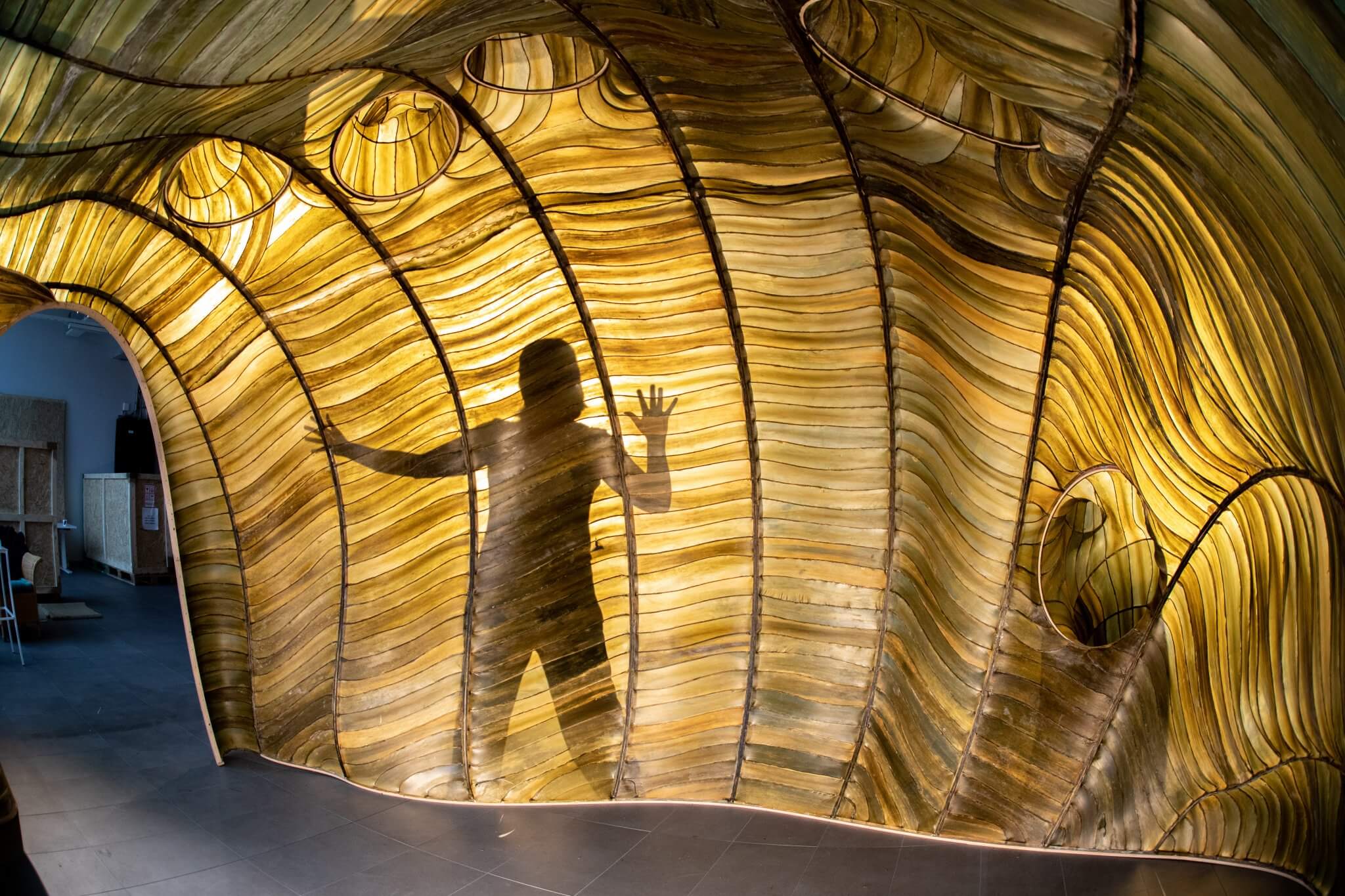 Julia Lohmann | Frankfurter Kunstverein