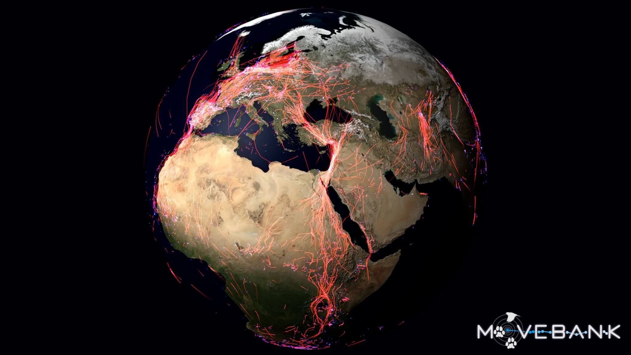 Bending the Curve – Knowing, Acting, Caring for Biodiversity ...