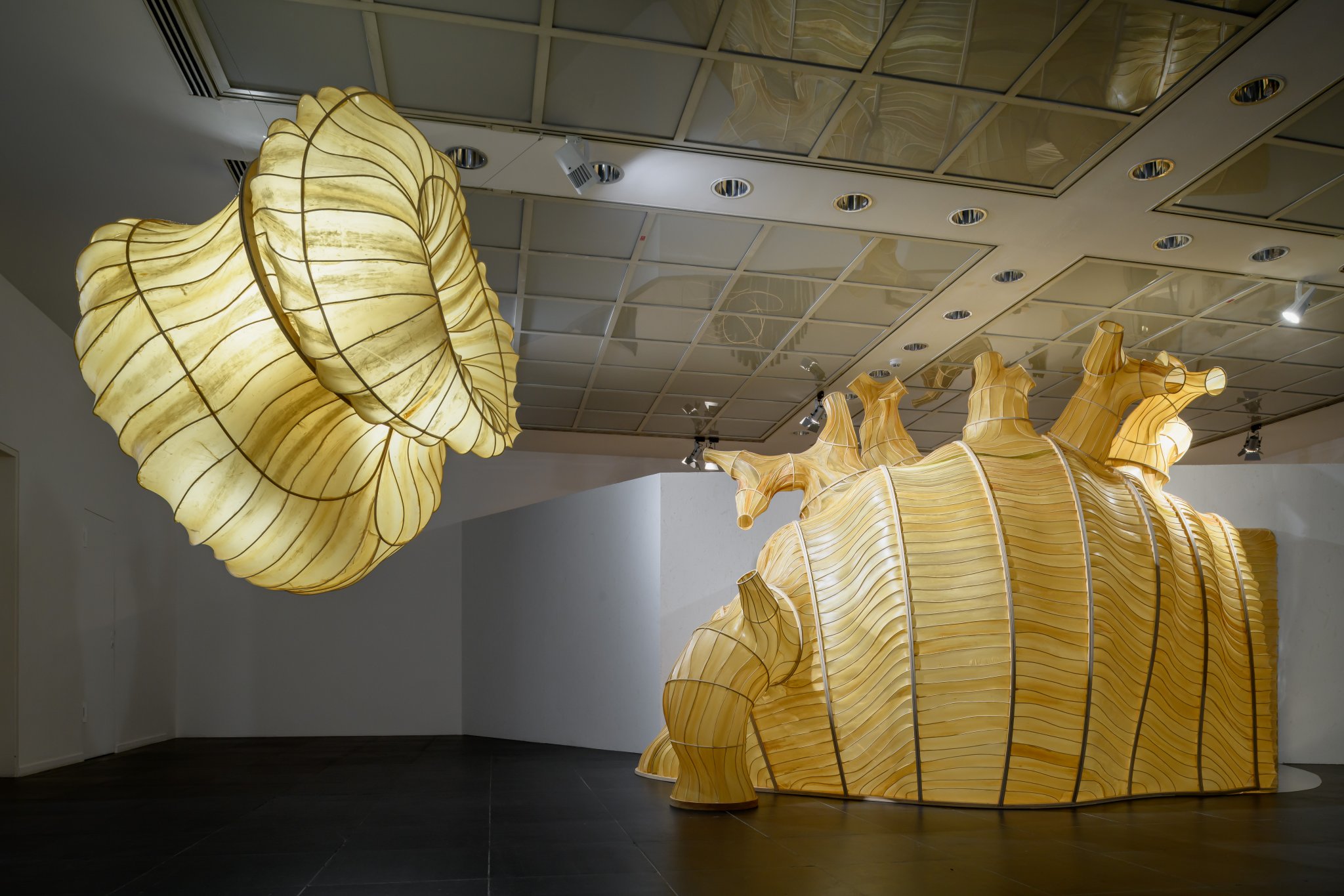 Julia Lohmann | Frankfurter Kunstverein