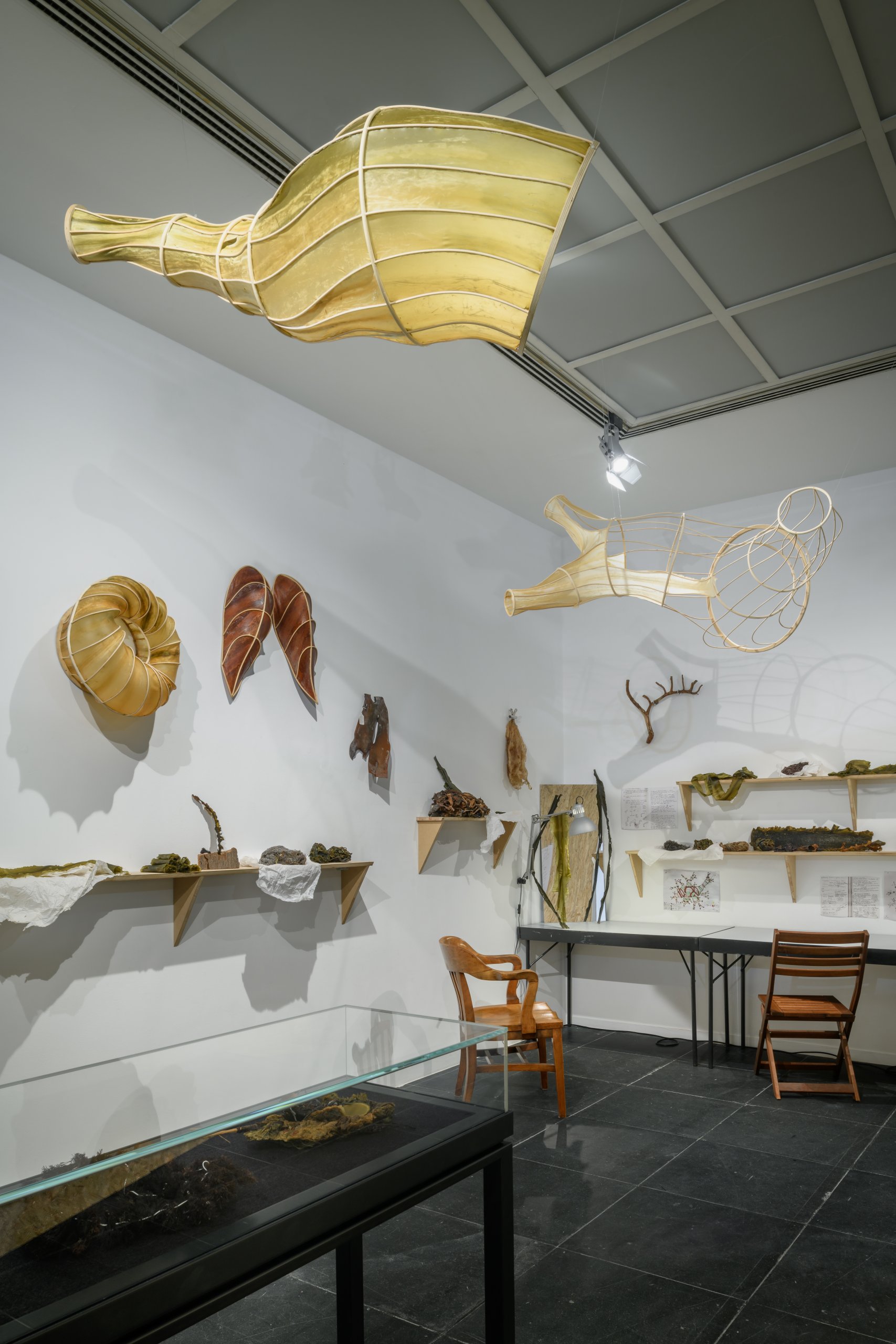 Julia Lohmann | Frankfurter Kunstverein