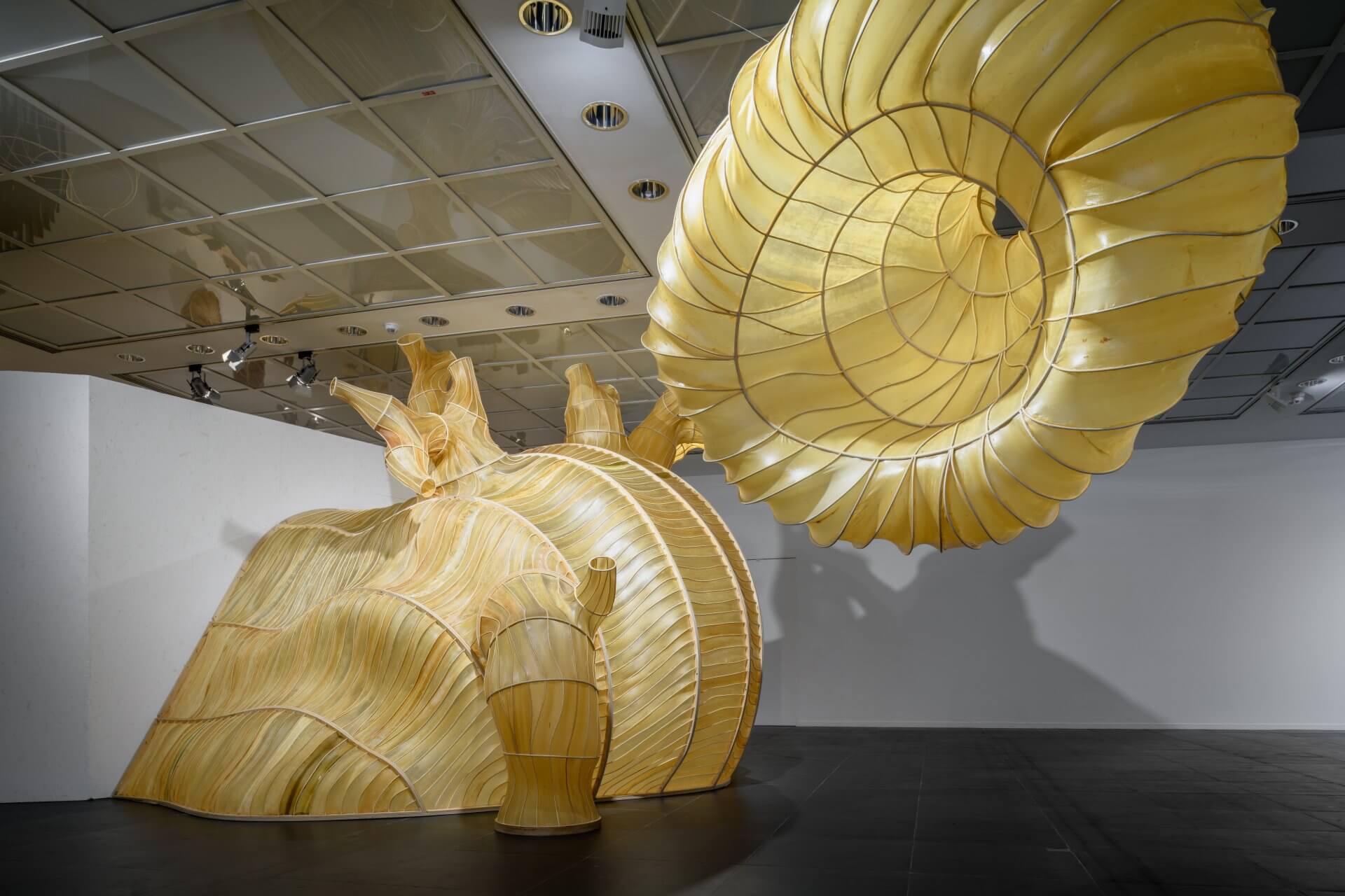 Julia Lohmann | Frankfurter Kunstverein