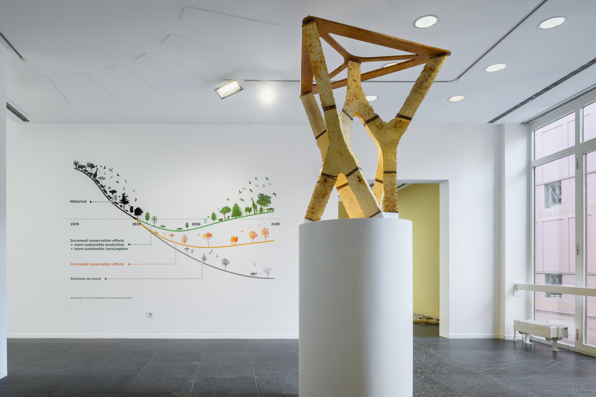 Bending the Curve – Knowing, Acting, Caring for Biodiversity ...