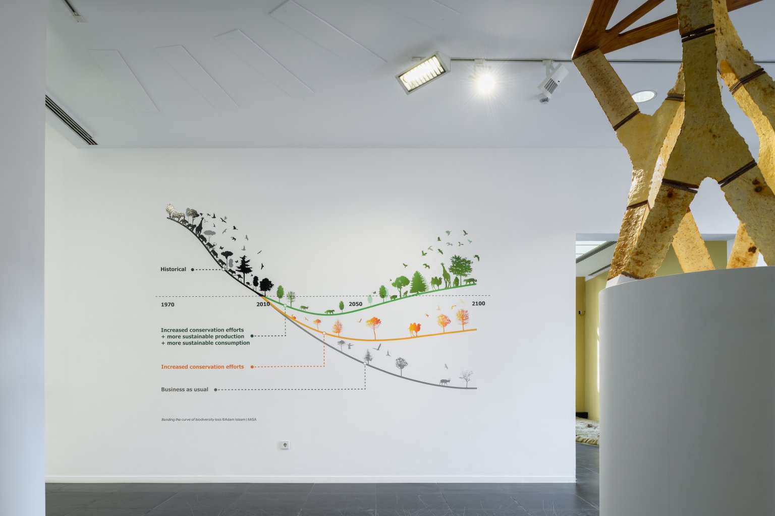 Bending the Curve – Knowing, Acting, Caring for Biodiversity ...